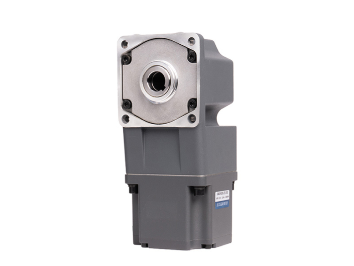 right-angle hollow shaft gear motor | ICAN